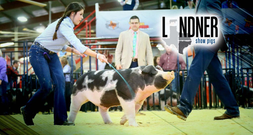 About Us - Lindner Show Pigs
